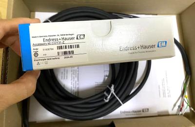 China Endress+Hauser Oxymax COS41-4F Dissolved Oxygen Sensor with IP68 Protection High Accuracy and Long-Term Stability for Water Wastewater for sale