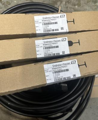 中国 Endress+Hauser Waterpilot FMX21 IP68 評価の電子機器を搭載した水静的レベル送信機 200m 測定深さ ±0.2% 正確性 販売のため