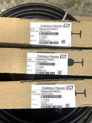 中国 Endress+Hauser Waterpilot FMX21 IP68 評価の電子機器を搭載した水静的レベル送信機 200m 測定深さ ±0.2% 正確性 販売のため