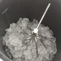 China Ice Maker for sale