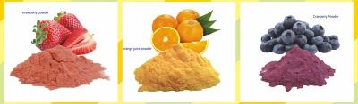 China Chemical Yeast Powder Spray Drying Machine AC380V AC220V High Efficient en venta