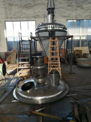 Cina Conical Screw Double Cone Blender Mixer , Spiral Ribbon Mixer in vendita