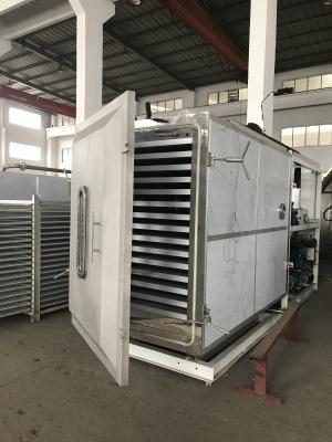 China Commercial Freeze Drying Machine , Vacuum Freeze Dryer Equipment For Fruits Vegetables Te koop