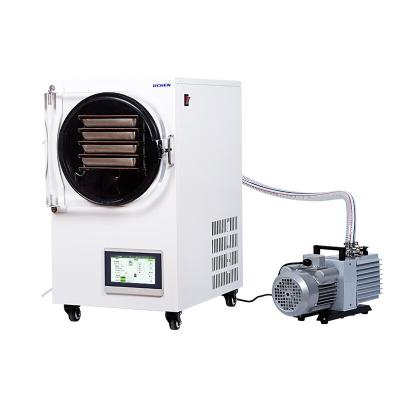 China Commercial Freeze Drying Machine , Vacuum Freeze Dryer Equipment For Fruits Vegetables Te koop