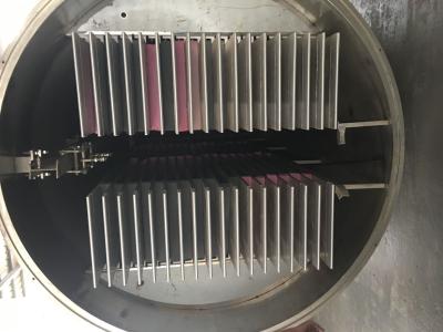 China Commercial Freeze Drying Machine , Vacuum Freeze Dryer Equipment For Fruits Vegetables Te koop