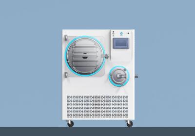 China Fruit Industrial Freeze Dryer Machine  Vacuum Freeze Drying Equipment à venda