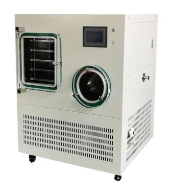 China Fruit Industrial Freeze Dryer Machine  Vacuum Freeze Drying Equipment à venda