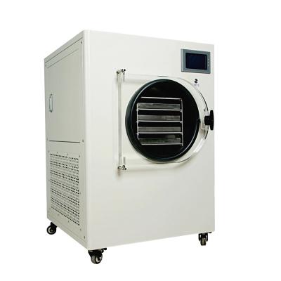 Cina Vacuum Freeze Dryer Machine  Electric Heating Sublimation Dryer for Vegetable in vendita
