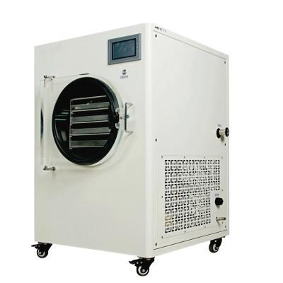 Cina Vacuum Freeze Dryer Machine  Electric Heating Sublimation Dryer for Vegetable in vendita