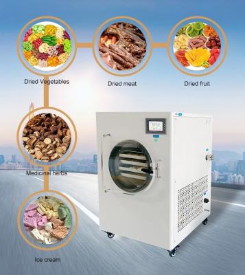 Cina Vacuum Freeze Dryer Machine  Electric Heating Sublimation Dryer for Vegetable in vendita