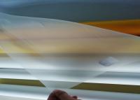 China Monofilament Polyester Silk Screen Printing Mesh Roll for sale