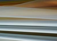China Plain Weave 90 Mesh 3.6M Width 100% Polyester Silk Screen Printing Mesh for sale