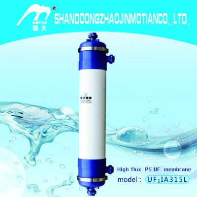 China PS Hollow Fiber UF Membrane for Water Filter-UF1IA315L for sale
