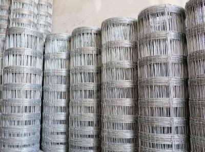 China field Fence for sale