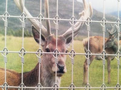 China goat fence for sale