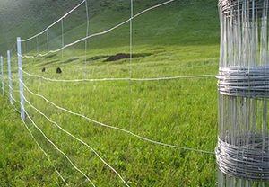 China horse fence for sale