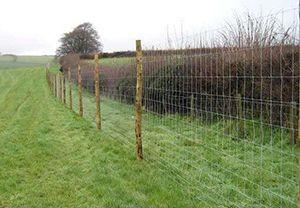 China horse fence for sale