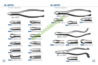 China Tooth Forceps for sale