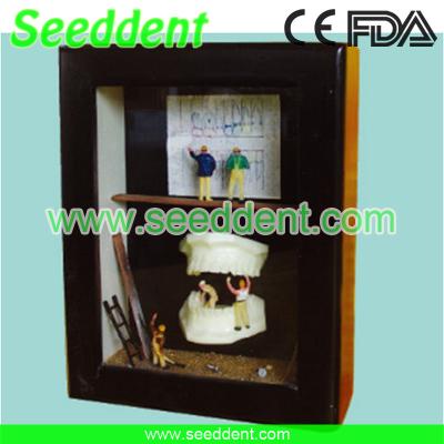 China Shadow box mini set of teeth I for sale