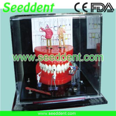 China Shadow box mini set of teeth II for sale