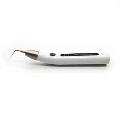 China Dental Cordless Endodontic Root Canal Irrigator Surgery Endo Washer ULTRA Activation Cleaning Ultrasonic Endo Activator for sale