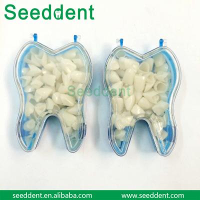 China Dental Temporary Crown / Dental Crowns for Anterior and Posterior Teeth for sale