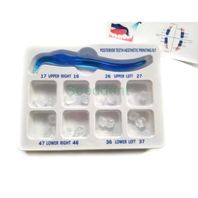 China Dental Posterior Teeth Aesthetic Printing Kit Tooth Restoration Filling Oral Therapy Tools for sale