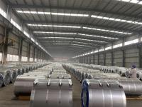 Quality 0.6m Width DX51 SPCC Grade Galvanized Steel Coils Hot Dipped GI coils for sale