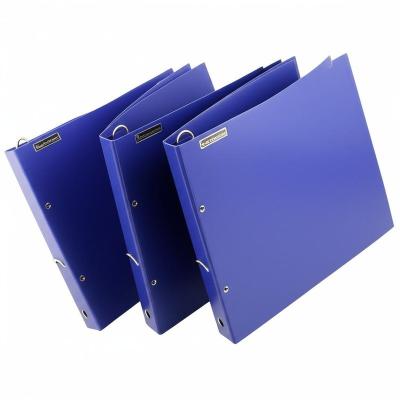 China Assorted Sizes 3 Ring with Trigger The Perfect Paper Organization Solution for sale