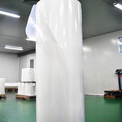 Cina Il commestibile che salda a caldo il Co d'imballaggio ha espulso film per alimento biologico in vendita