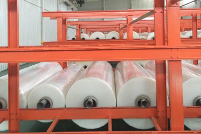 Cina La forza ad alta resistenza Co di buona planarità ha espulso film per alimento congelato 305 la m. Length in vendita