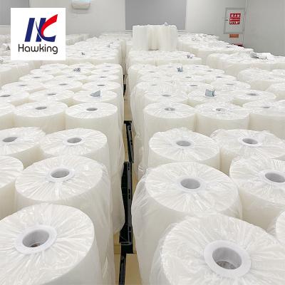 Cina Il colore primario Co ha espulso borsa del film per la salsiccia che imballa sotto vuoto Thermoforming in vendita