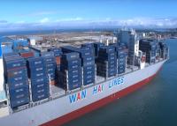China Timely Full Container Load Ocean Freight DDP Worldwide Sea Freight for sale