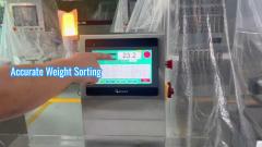 Automatic Checkweigher Scale Sorting Checking Weigher Reject System  MID CE And ISO