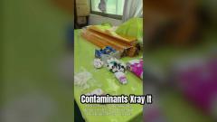 Food Xray Machine Detects Contaminants SA4025