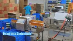 Full Structure Takes Of Stainless 304 Food Metal Detector With Digital Signal Processing And OEM