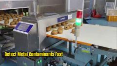 Food Metal Detector