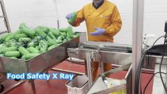 Food X Ray Machine