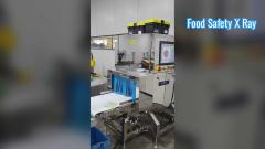 Food Safety Inspection Customized Factory Conveyor Belt Quality production line