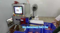 Industrial Food X Ray Inspection Machine for Quality Control
