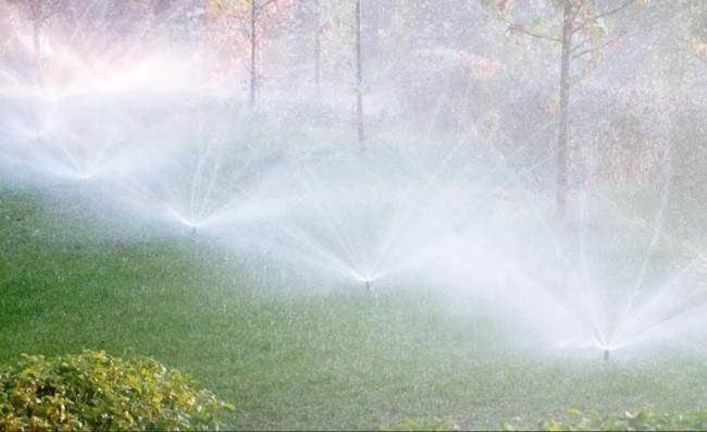 irrigation