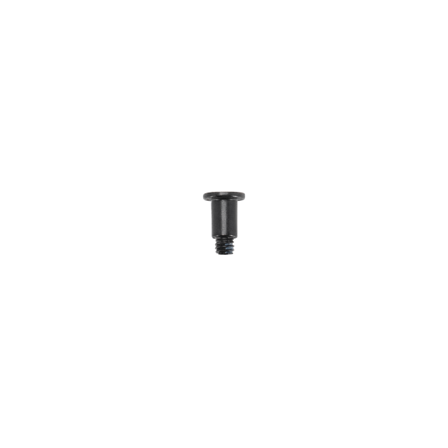 Spare Screws