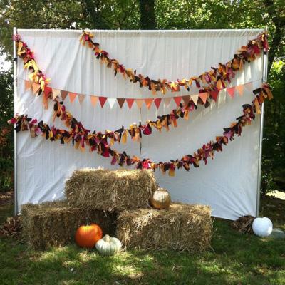 China RK stage decoration backdrop fabric decoration aluminum pipe drape system for sale