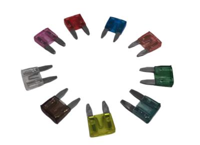 Cina Mini Automotive Blade Fuse DC32V 3A UL248 agente veloce ha approvato in vendita
