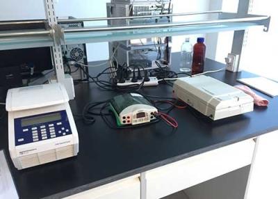 Drug Metabolism and Pharmacokinetics (DMPK) Studies