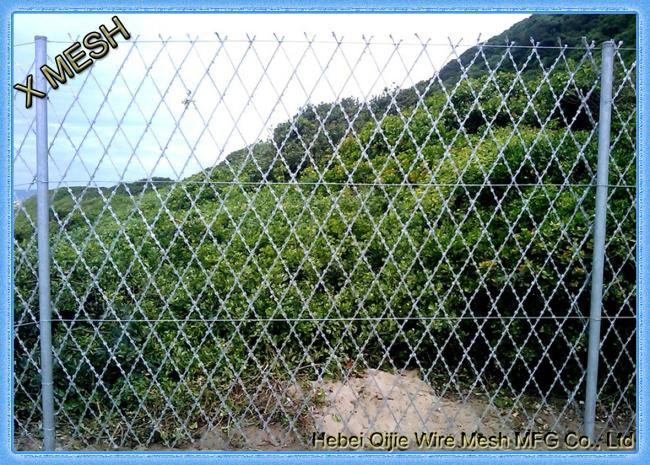 Ripper Razor Mesh-002