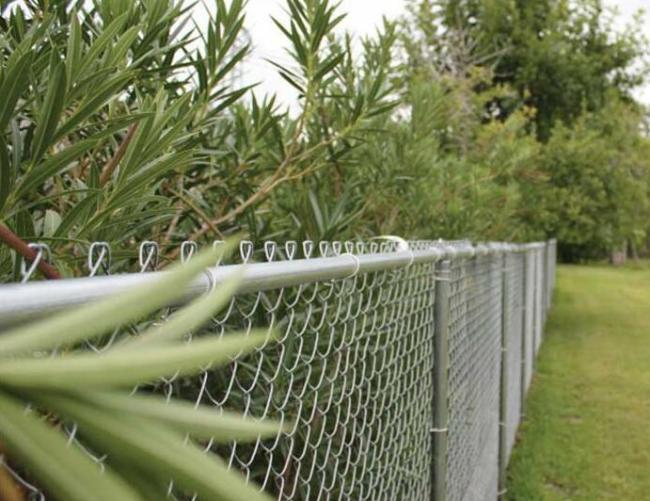 chain link fence