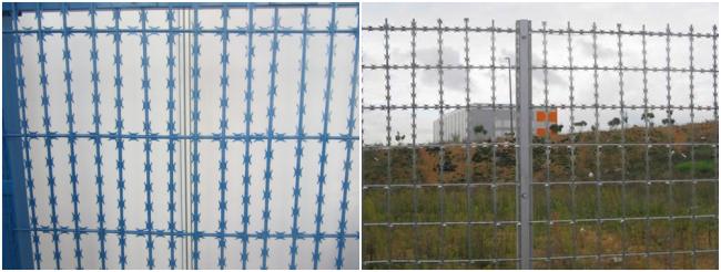 Hot dipped galvanized welded razor blade wire mesh fence