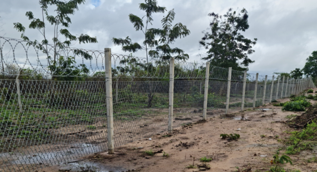 welded razor wire mesh