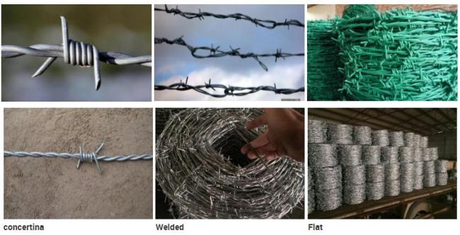 Barbed Wire